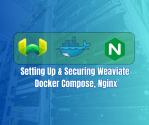 Getting Started with Weaviate: Setting Up and Securing Your Instance with Docker Compose, Nginx ...